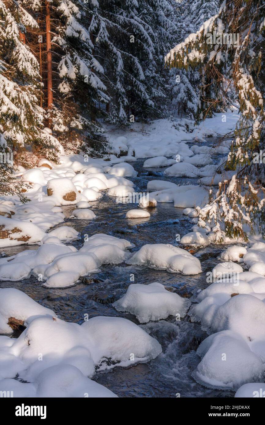 snowy creek in the middle of a forest in sunlight conditions Stock ...