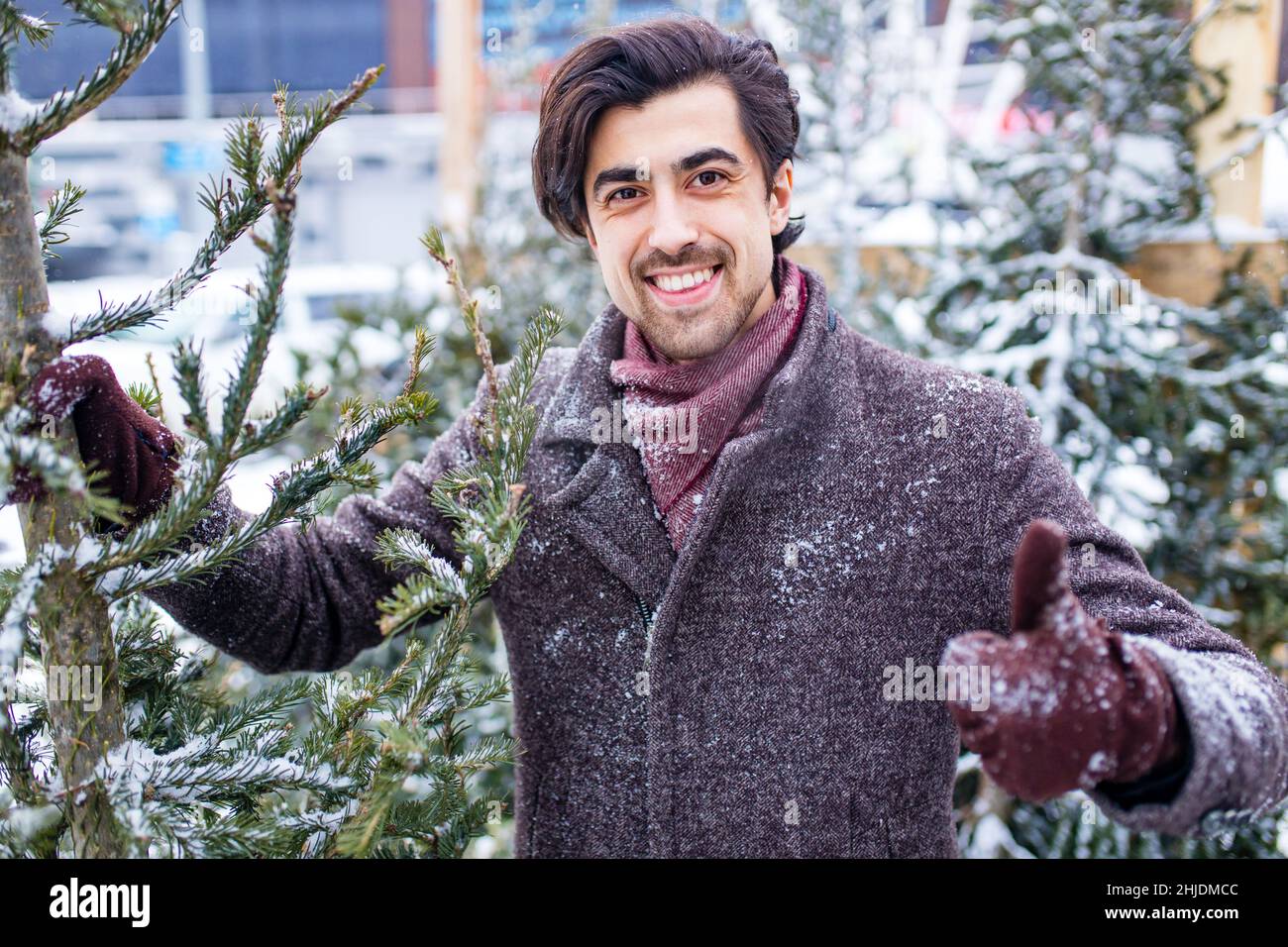 Indian fir tree hi-res stock photography and images - Alamy