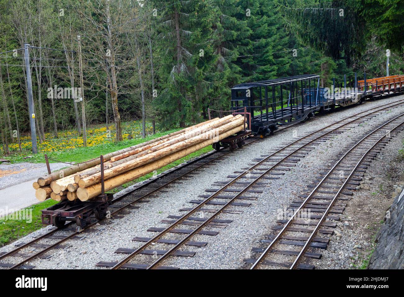 Forest railway wagon loaded with processed wood Stock Photo - Alamy
