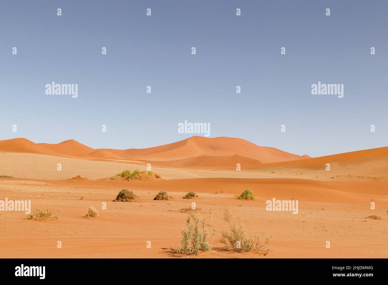 Desert landscape near Sossusvlei, Namibia Stock Photo - Alamy