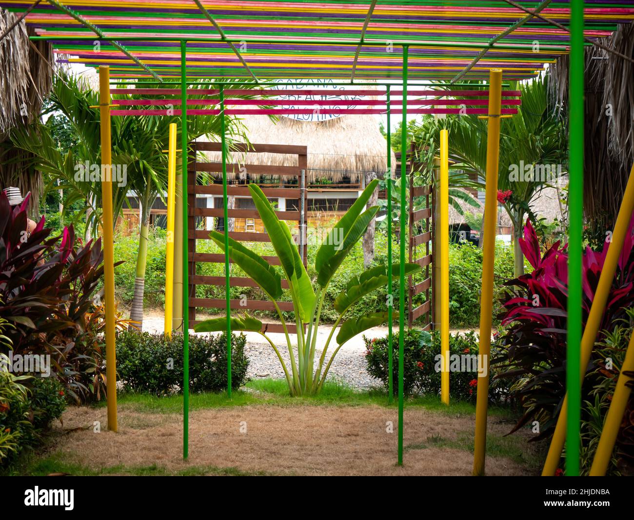 Patio with Colored Tubes and Surrounding Plants Stock Photo - Alamy