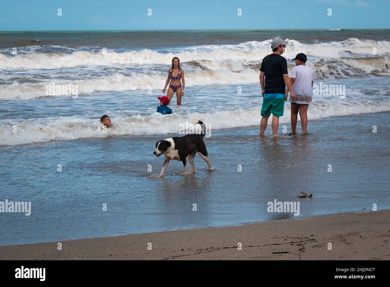 Palomino, Dibulla, La Guajira, Colombia - December 4 2021: Black ...