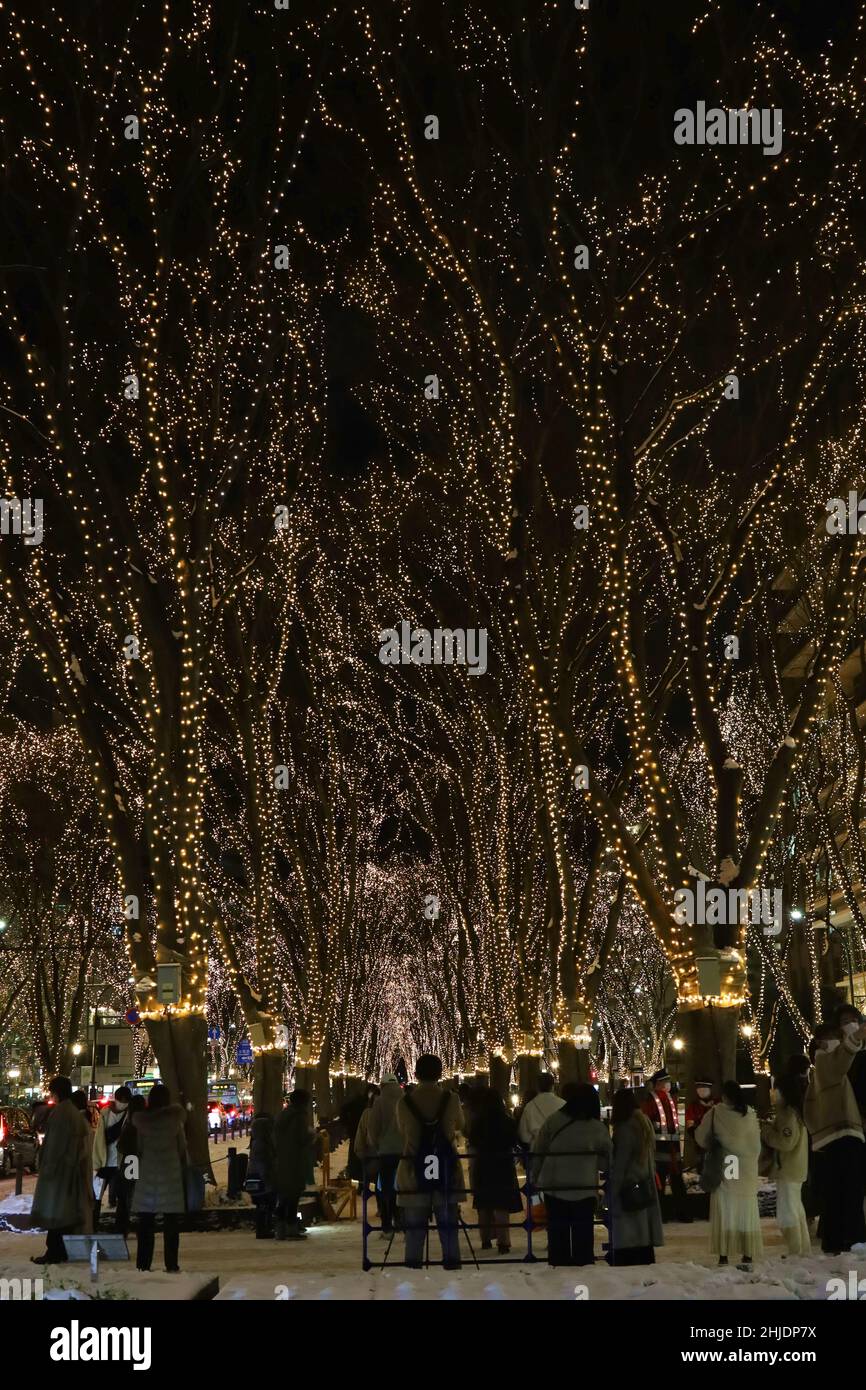 Sendai City, Miyagi Prefecture Japan, December 28, 2021.Illuminated ...