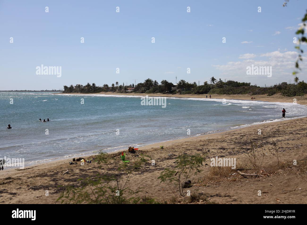 Images of Puerto Rico, Guayama, Pozuelo Beach Landscape and flora Stock ...
