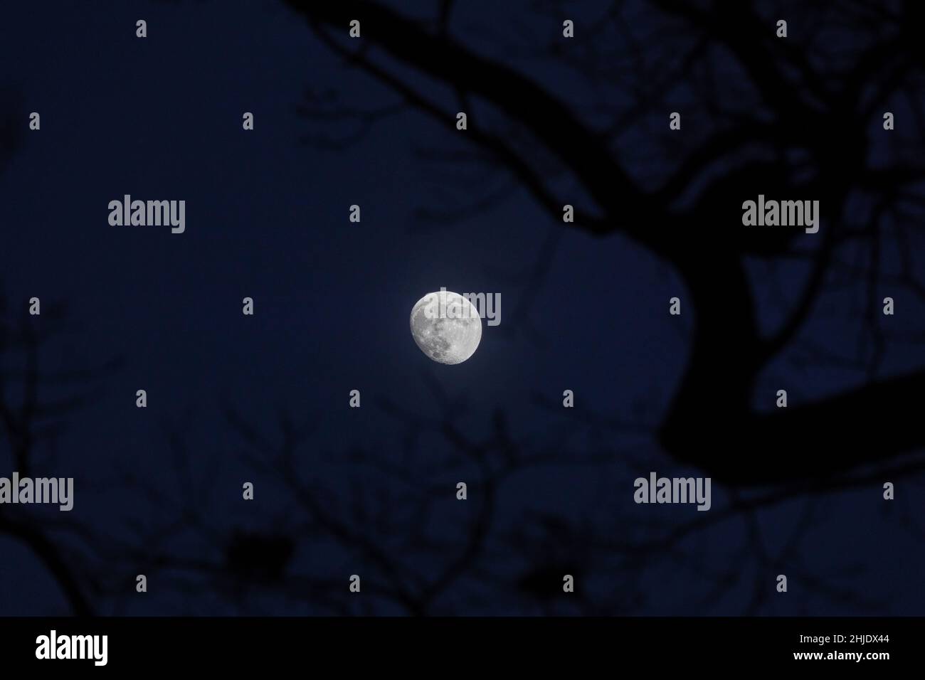 Closeup of the waxing moon - one day before full moon - early evening ...