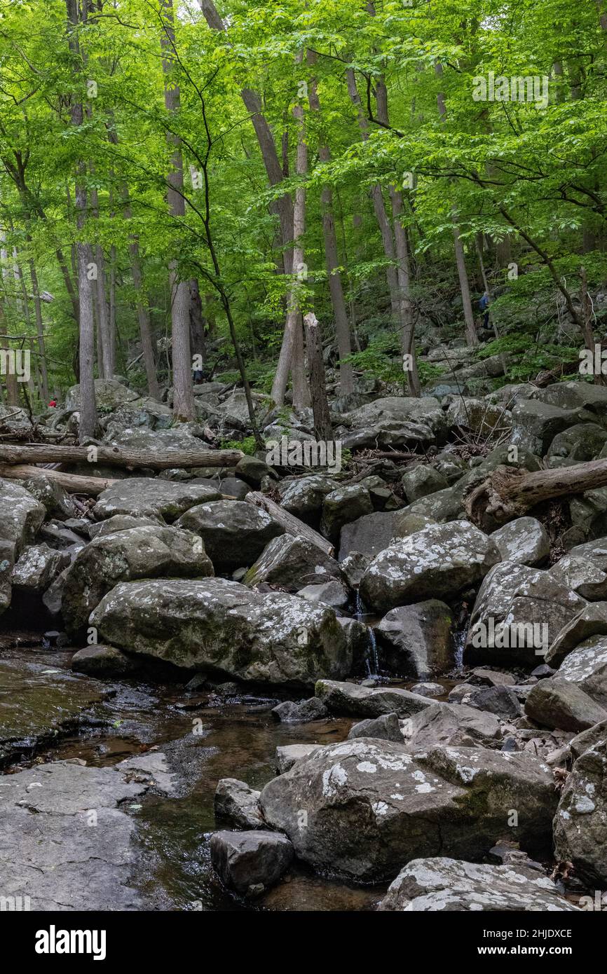 A scenic shot of a water stream that goes through the rocks in the ...