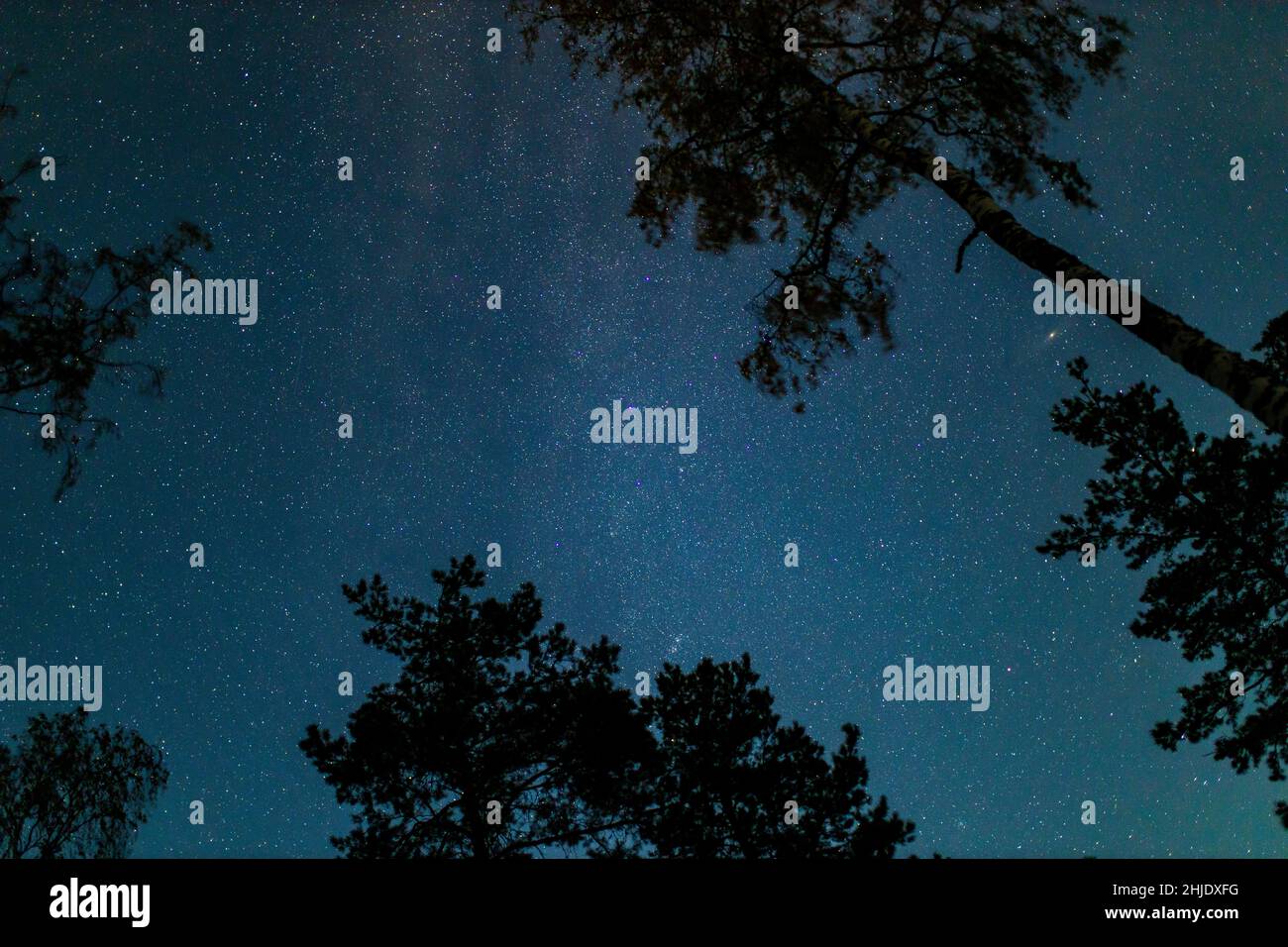 Star stars starry evening night hi-res stock photography and images - Alamy