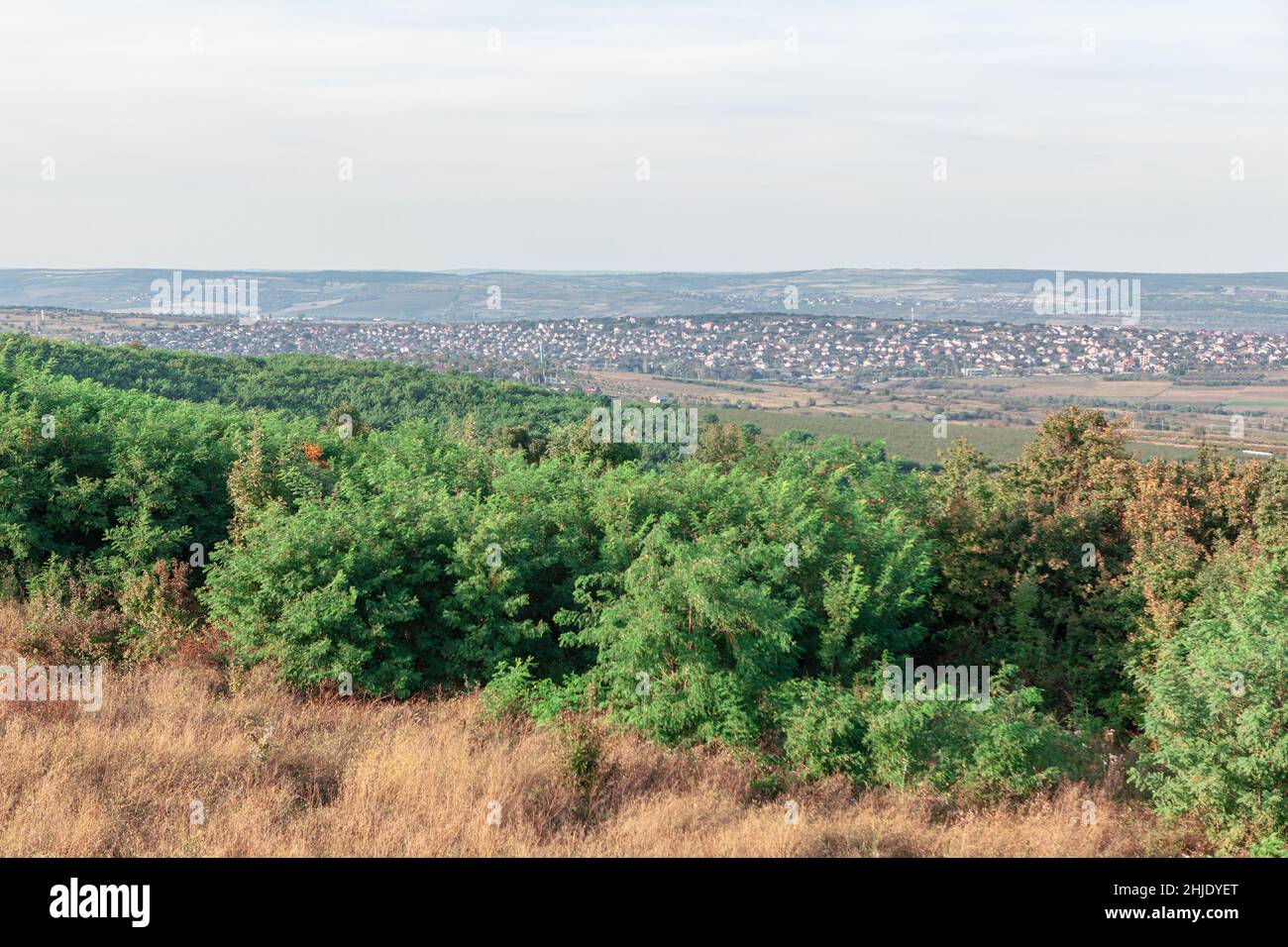 Village forest trees green grass hi-res stock photography and images ...