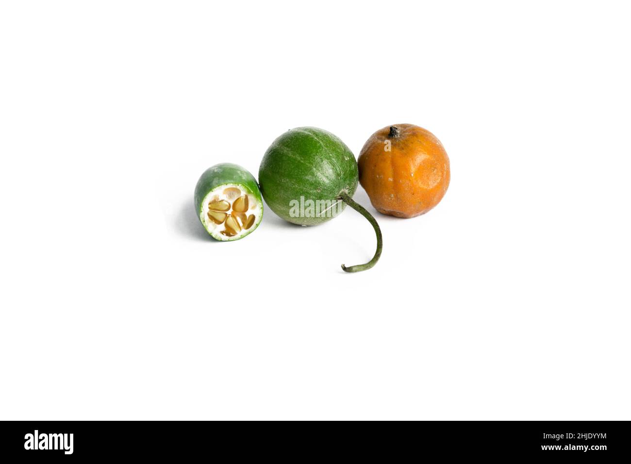 The gourd vegetable gourd, white background. Fall Gourds Stock Photo ...