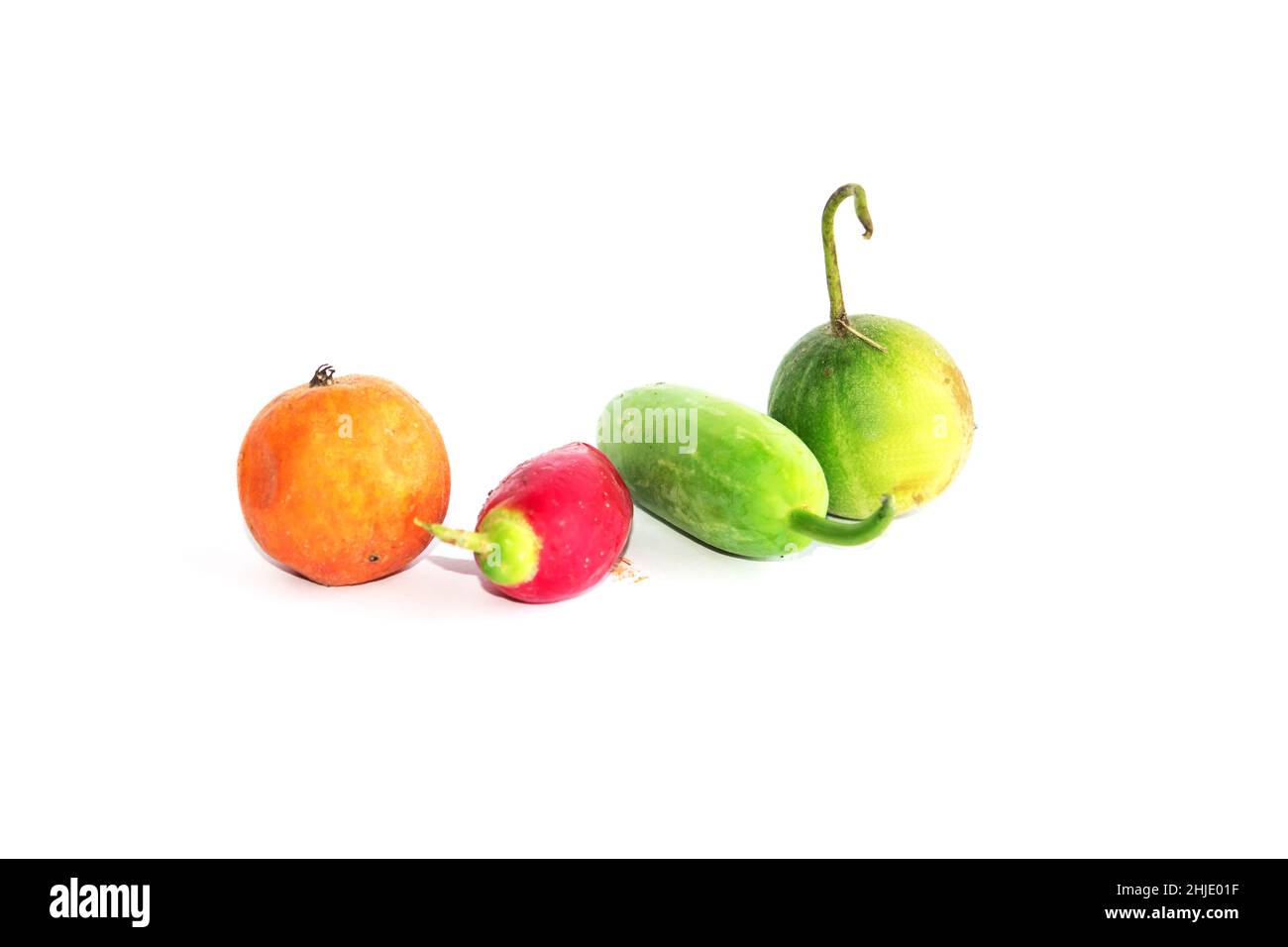The gourd vegetable gourd, white background. Fall Gourds Stock Photo ...
