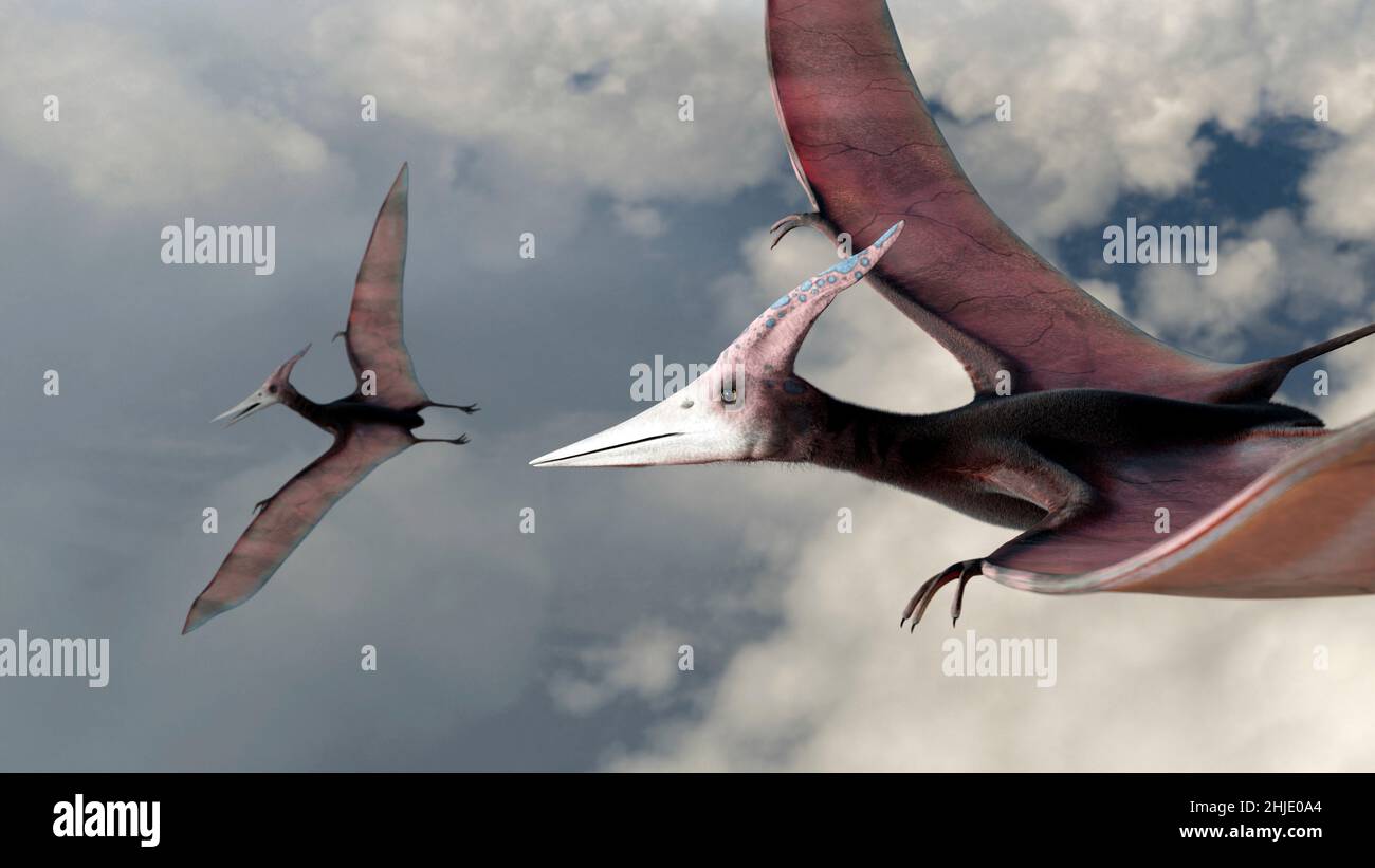 Pteranodon hi-res stock photography and images - Alamy