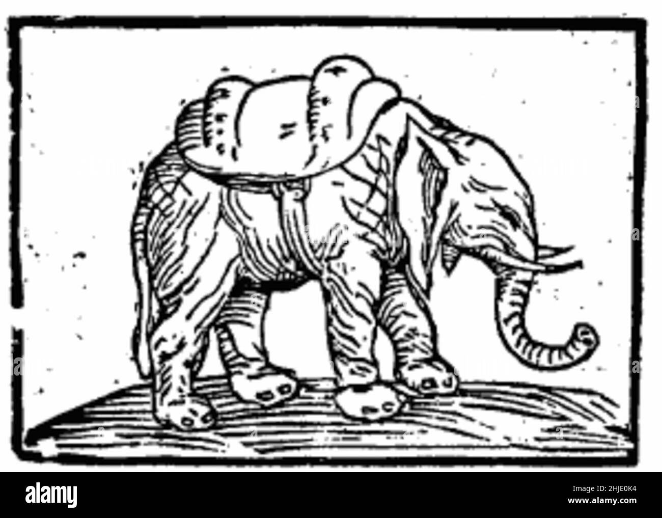 Hanno the elephant hi-res stock photography and images - Alamy