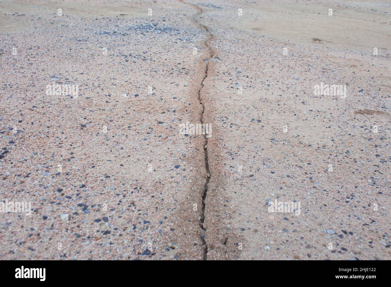 Way ants hi-res stock photography and images - Alamy