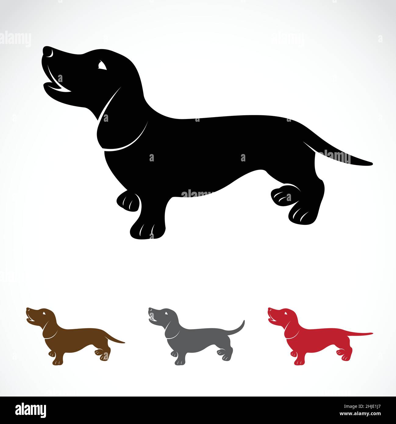 Vector of a dog (Dachshund) on a white background. Easy editable ...
