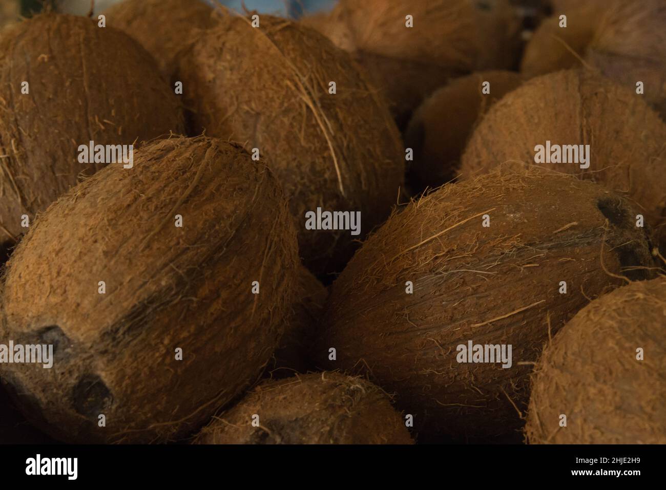Hairy brown coconuts in hi-res stock photography and images - Alamy