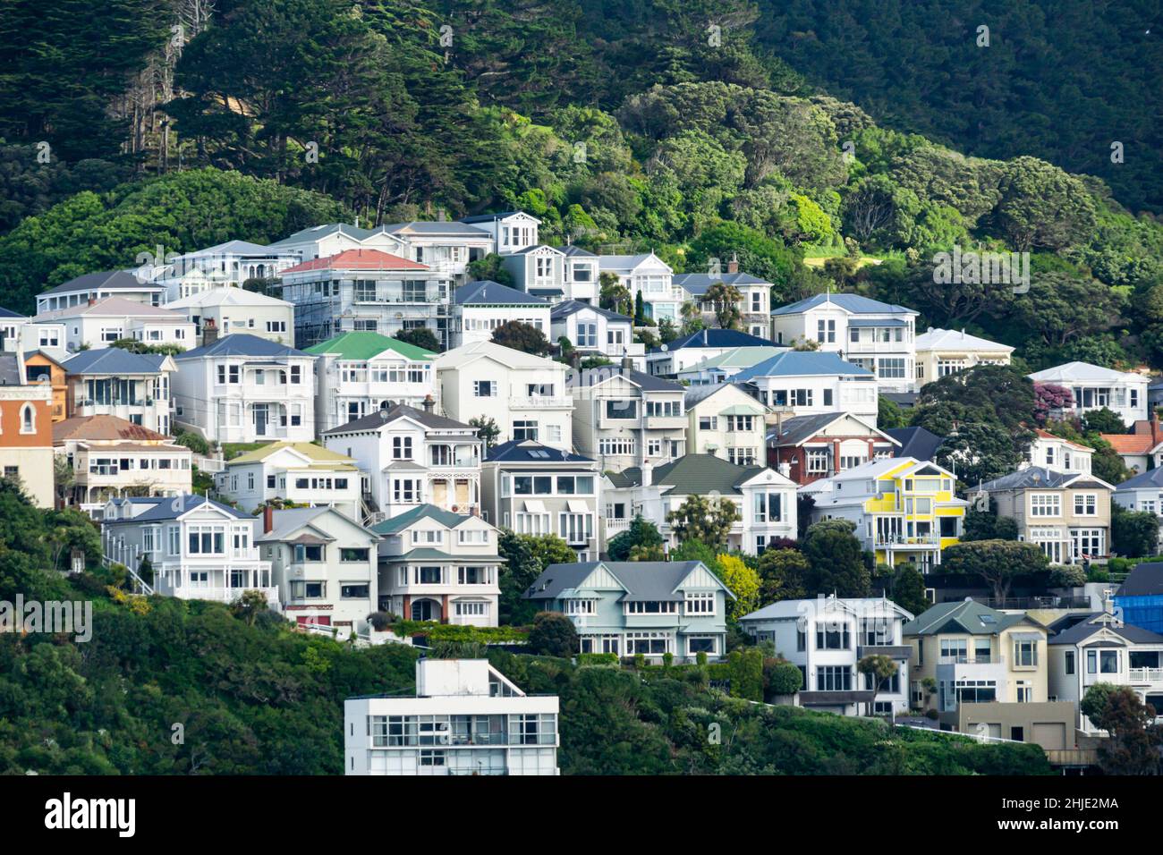 Hillside homes in wellington new hi-res stock photography and images ...