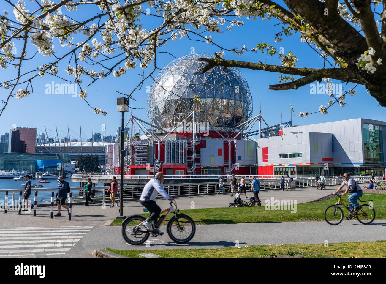 Seawall trail hi-res stock photography and images - Alamy