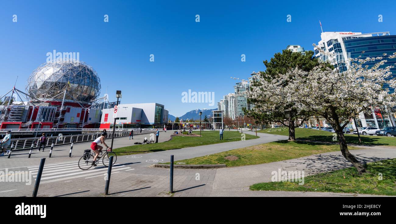 People walking and cycling on Creekside Park seawall trail in ...