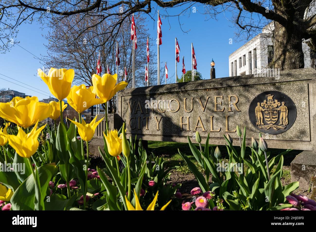 Tulip city of vancouver hi-res stock photography and images - Alamy