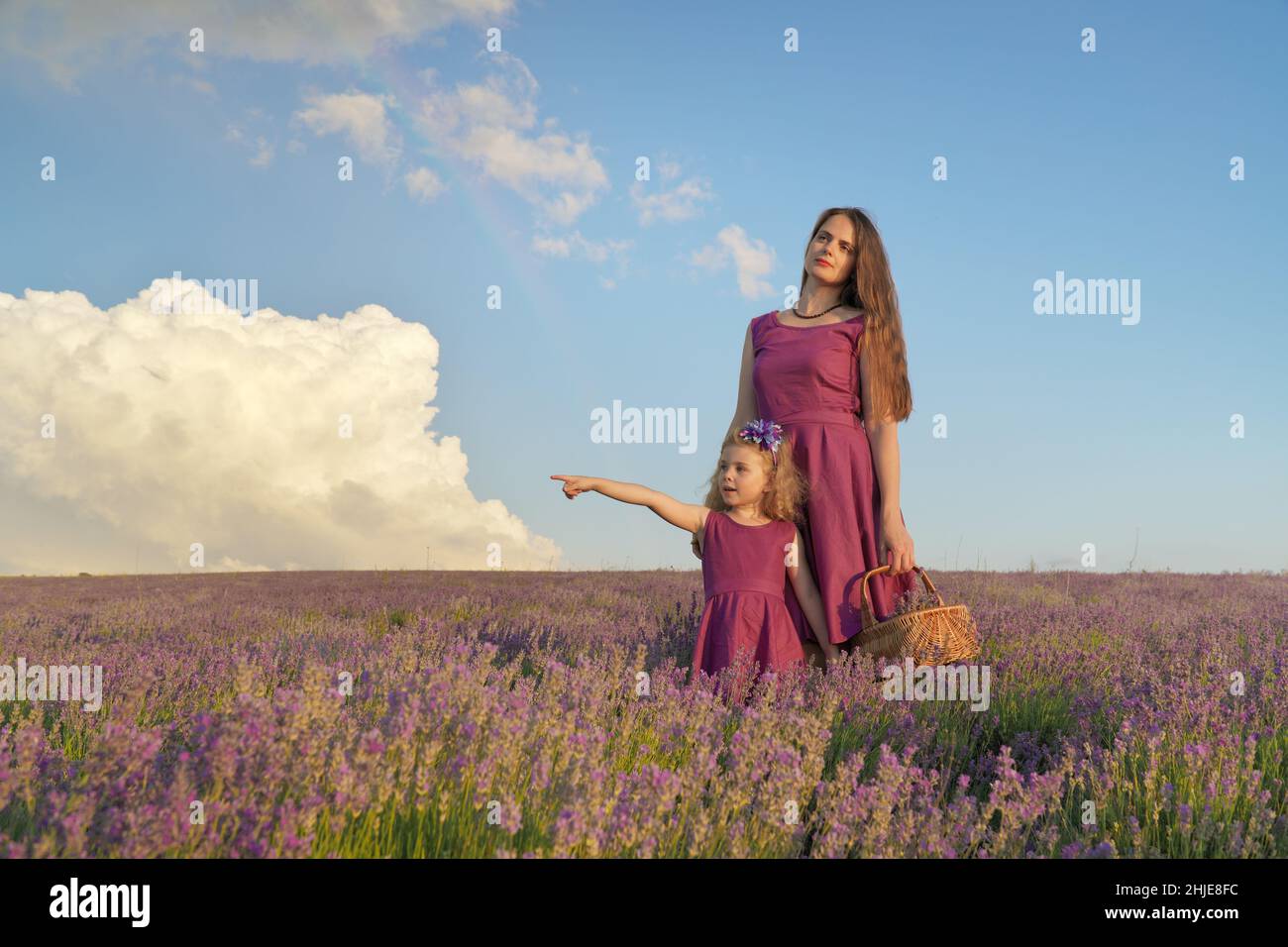 Lavender family hi-res stock photography and images - Alamy