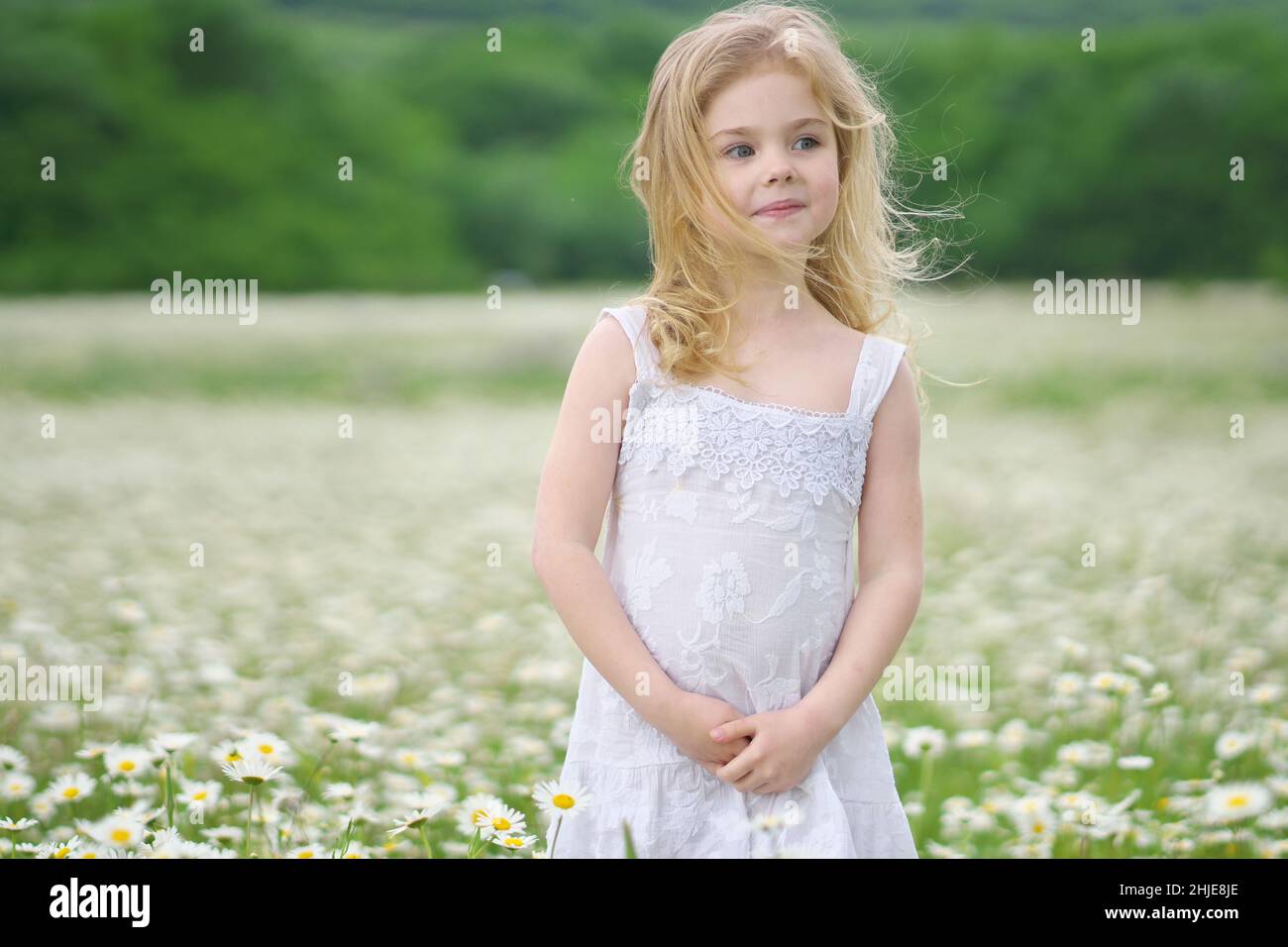 Cute little girl in big camomile meadow. Portrait composition Stock ...