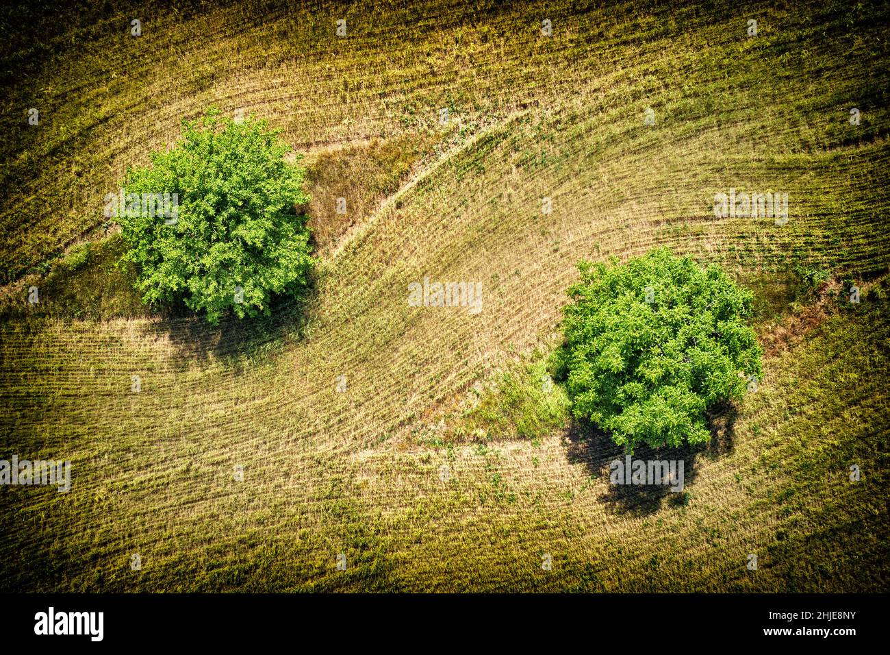 Lawn art aerial hi-res stock photography and images - Alamy