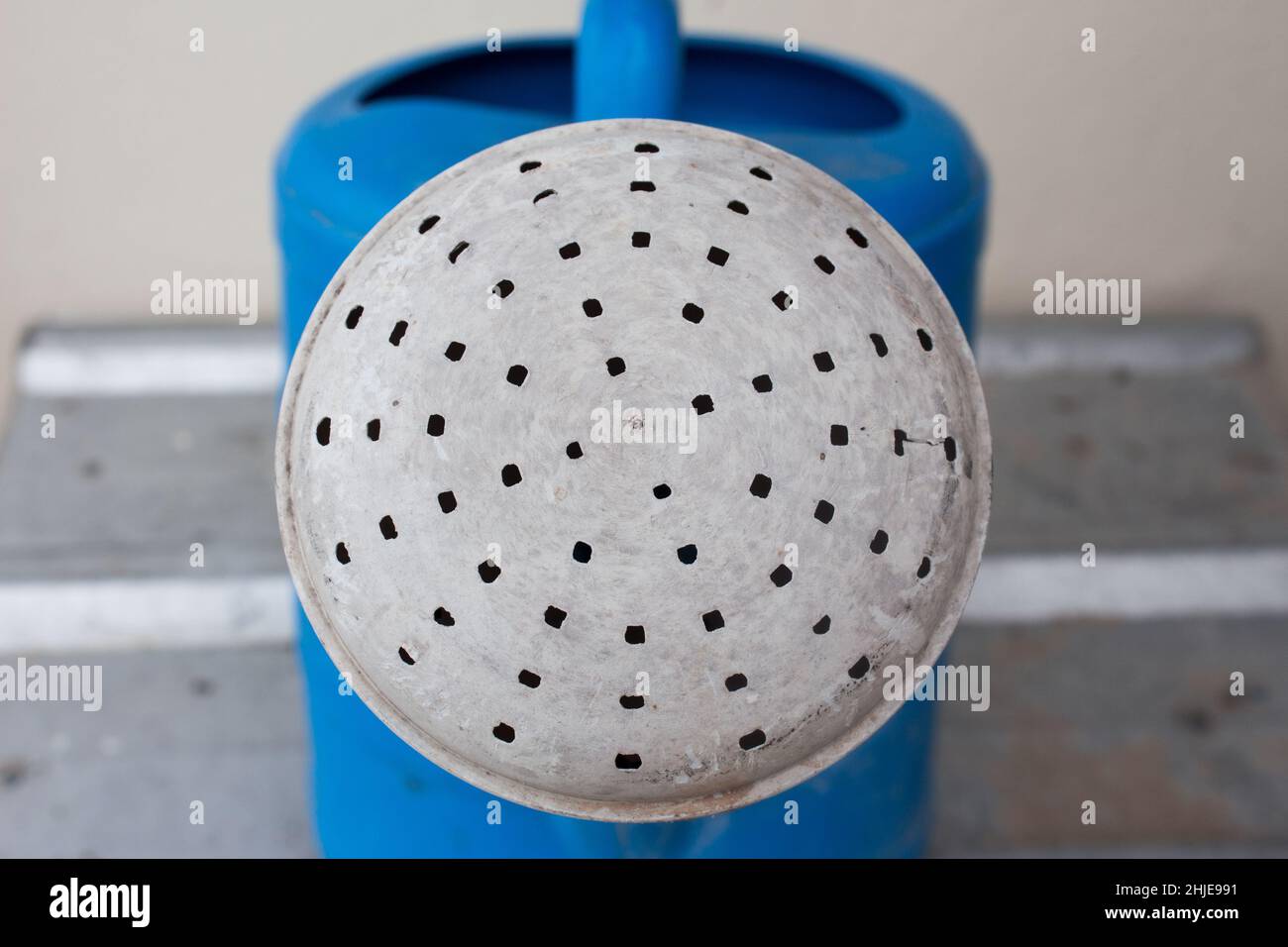 Watering Can trees Stock Photo - Alamy