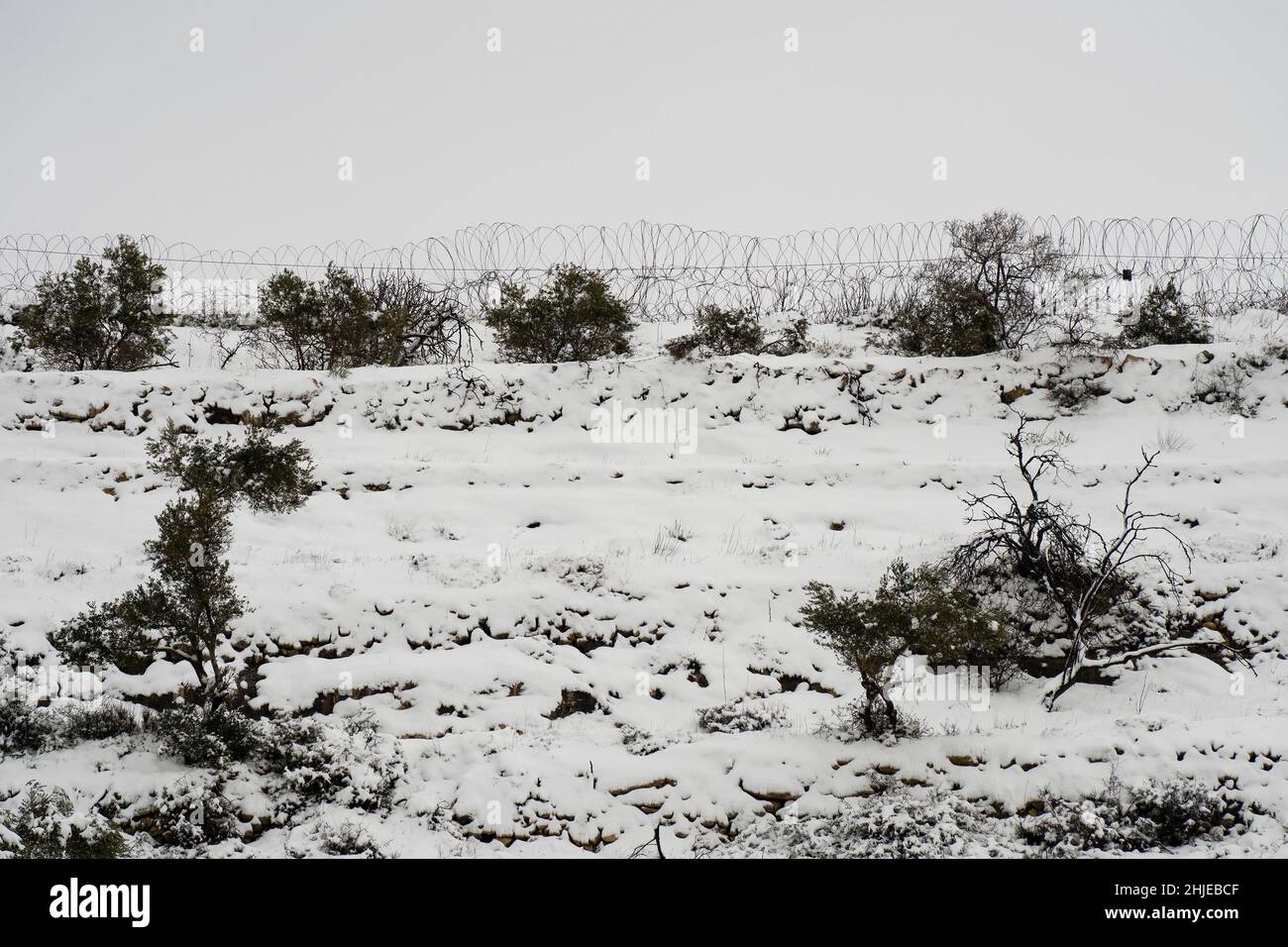 A barbed wire fence, separating between israeli and palestinian ...