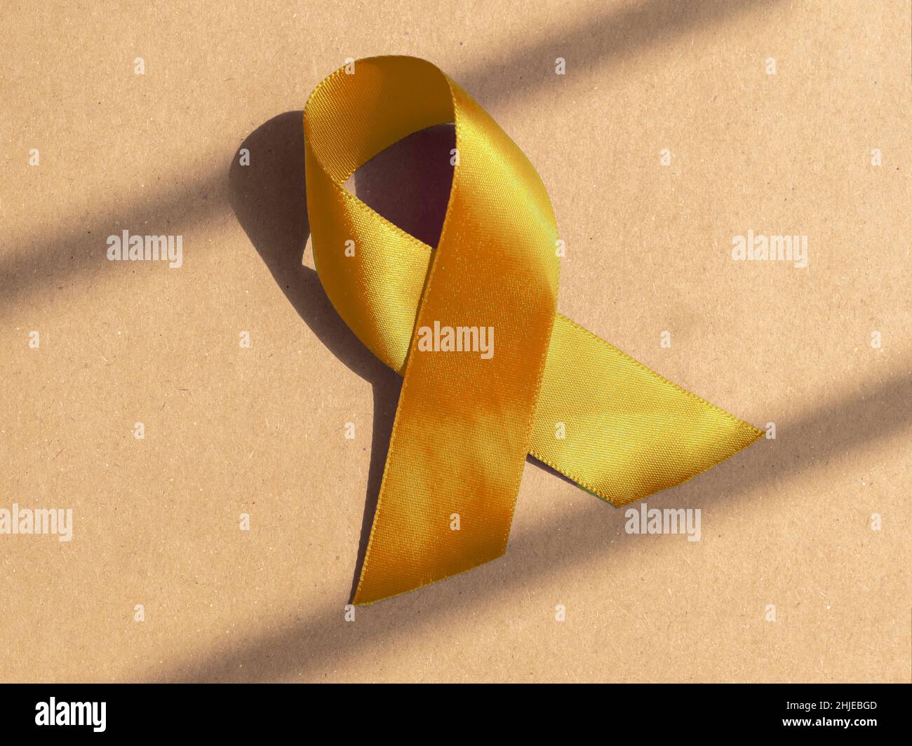 Child with spina bifida hi-res stock photography and images - Alamy