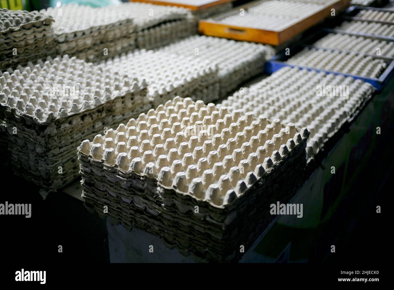 Empty egg boxes hi-res stock photography and images - Alamy