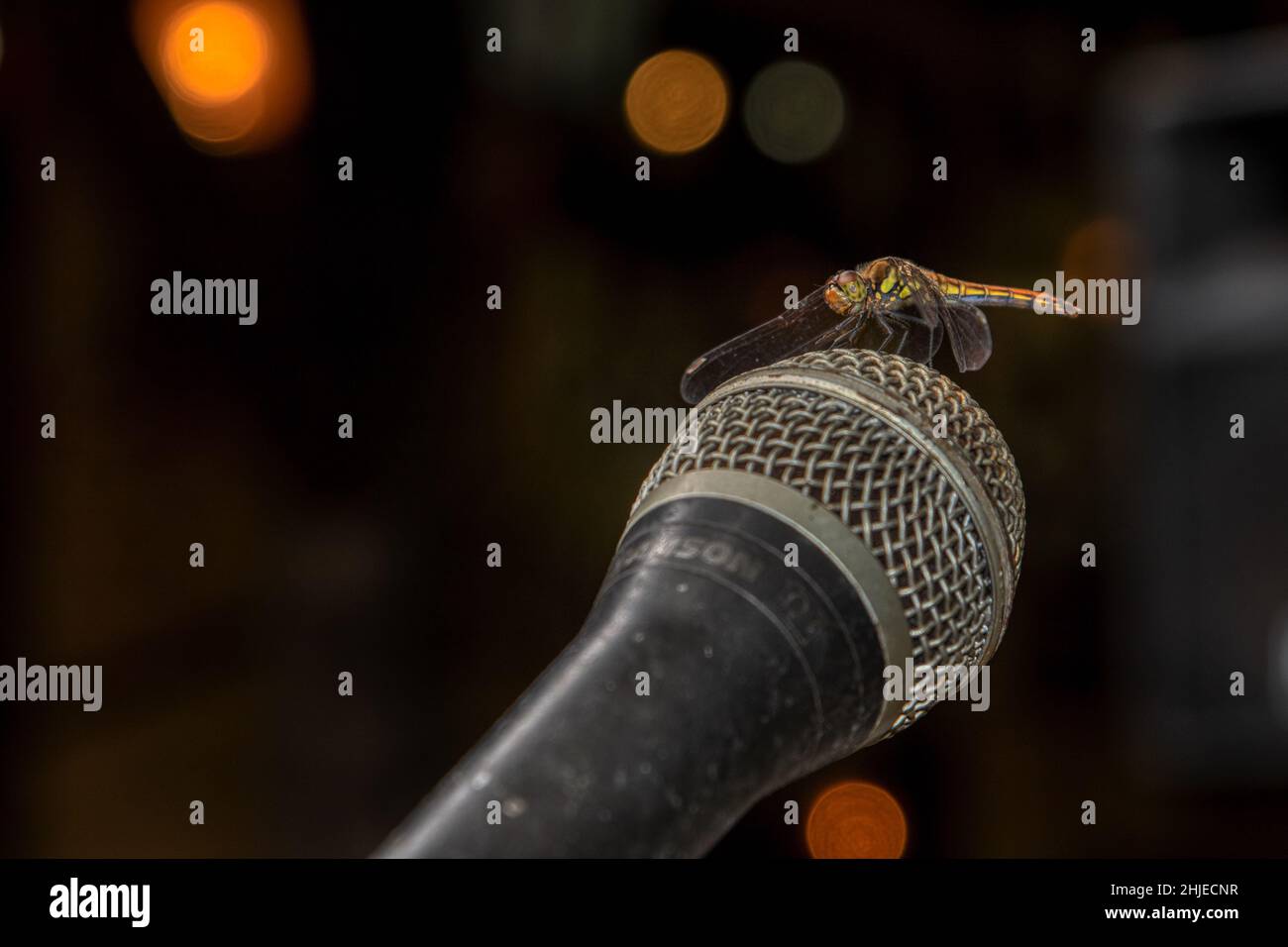 Microphone wings hi-res stock photography and images - Alamy