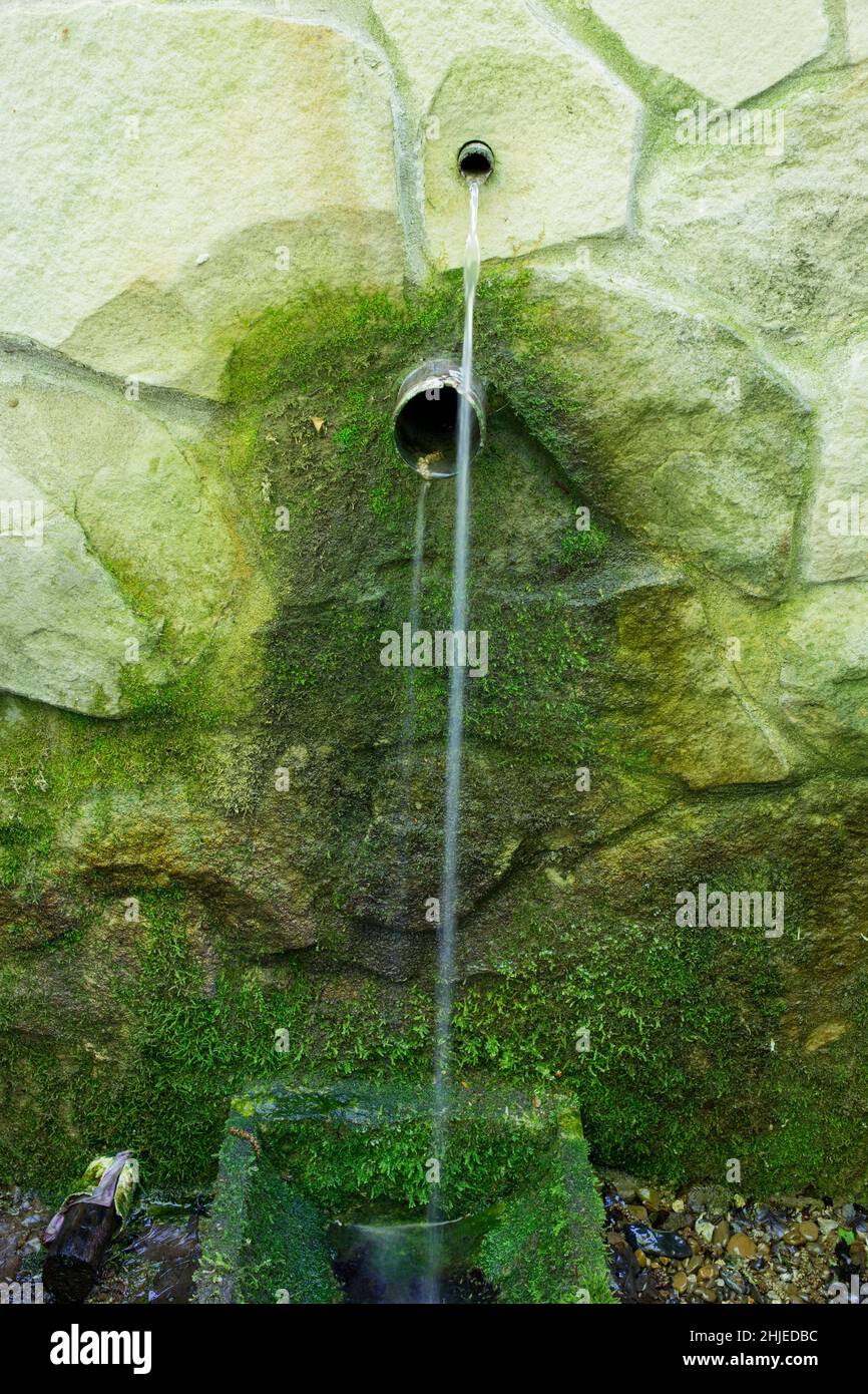 Equipped spring in the forest. Rough walling and metal pipe for water ...