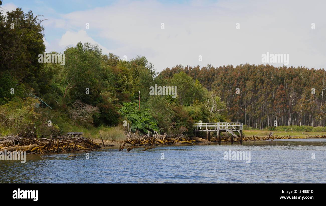 The Chepu River, Chiloe, Chile Stock Photo - Alamy