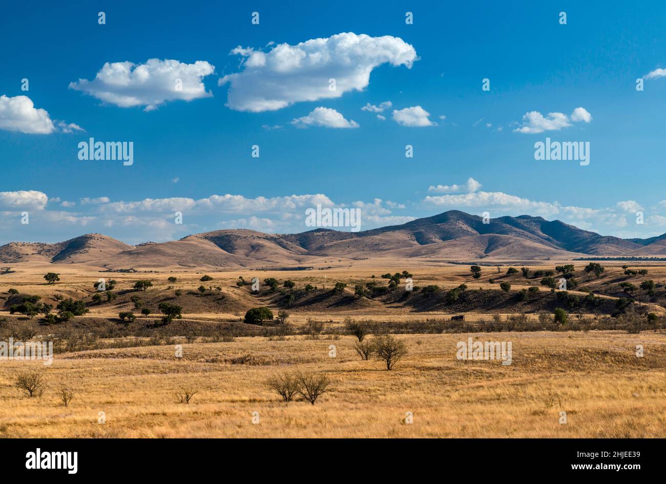 Open international border hi-res stock photography and images - Alamy