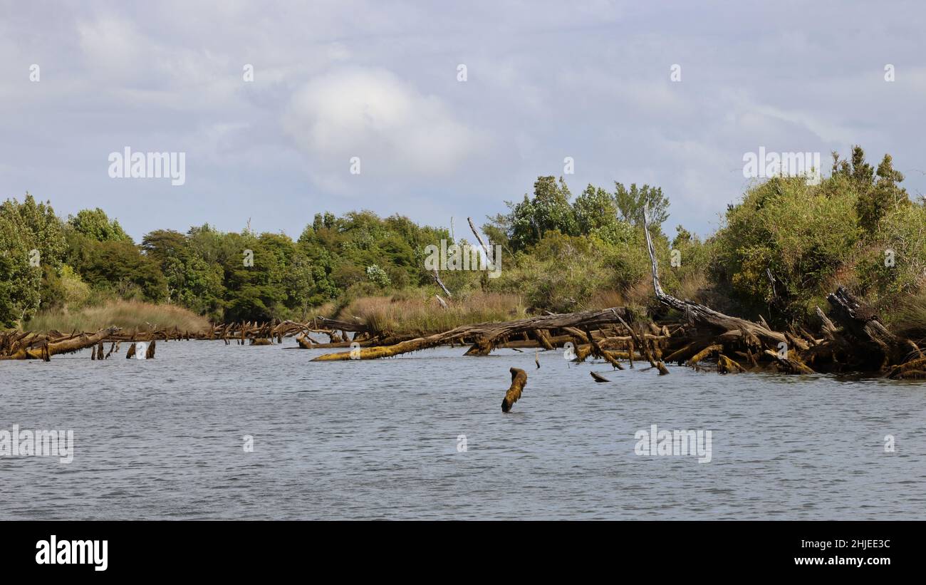 The Chepu River, Chiloe, Chile Stock Photo - Alamy