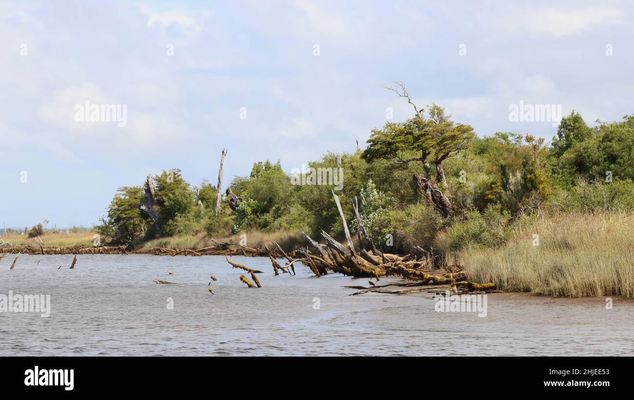 The Chepu River, Chiloe, Chile Stock Photo - Alamy
