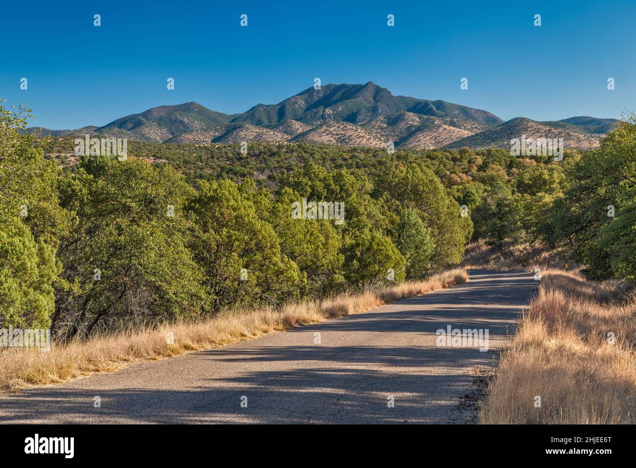 Huachuca Peak, Huachuca Mountains, South Parker Canyon Road, near ...