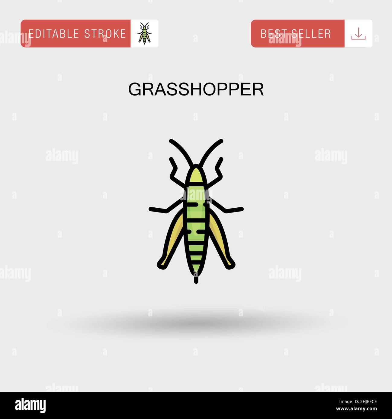 Grasshopper drawing hi-res stock photography and images - Alamy