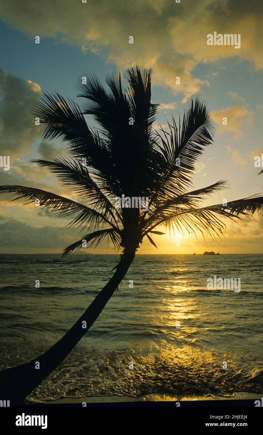 Porto rico beach hi-res stock photography and images - Alamy