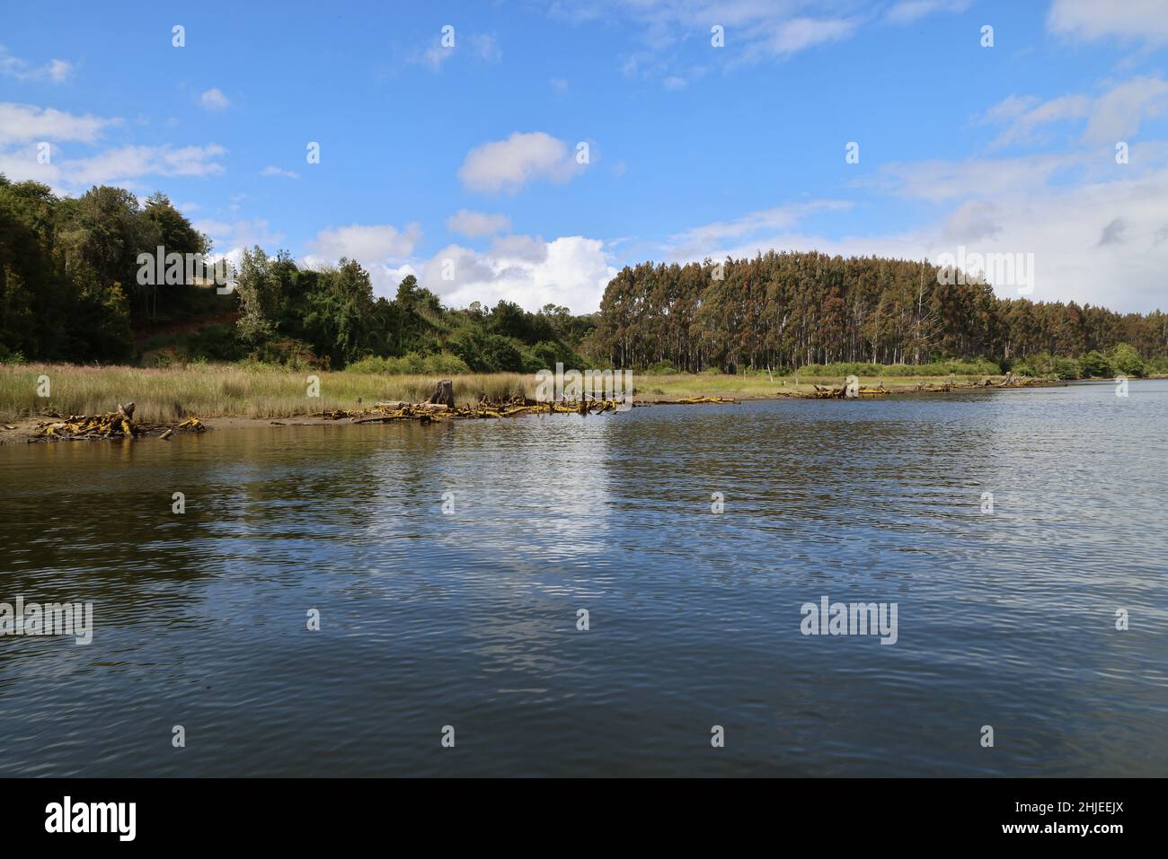 The Chepu River, Chiloe, Chile Stock Photo - Alamy