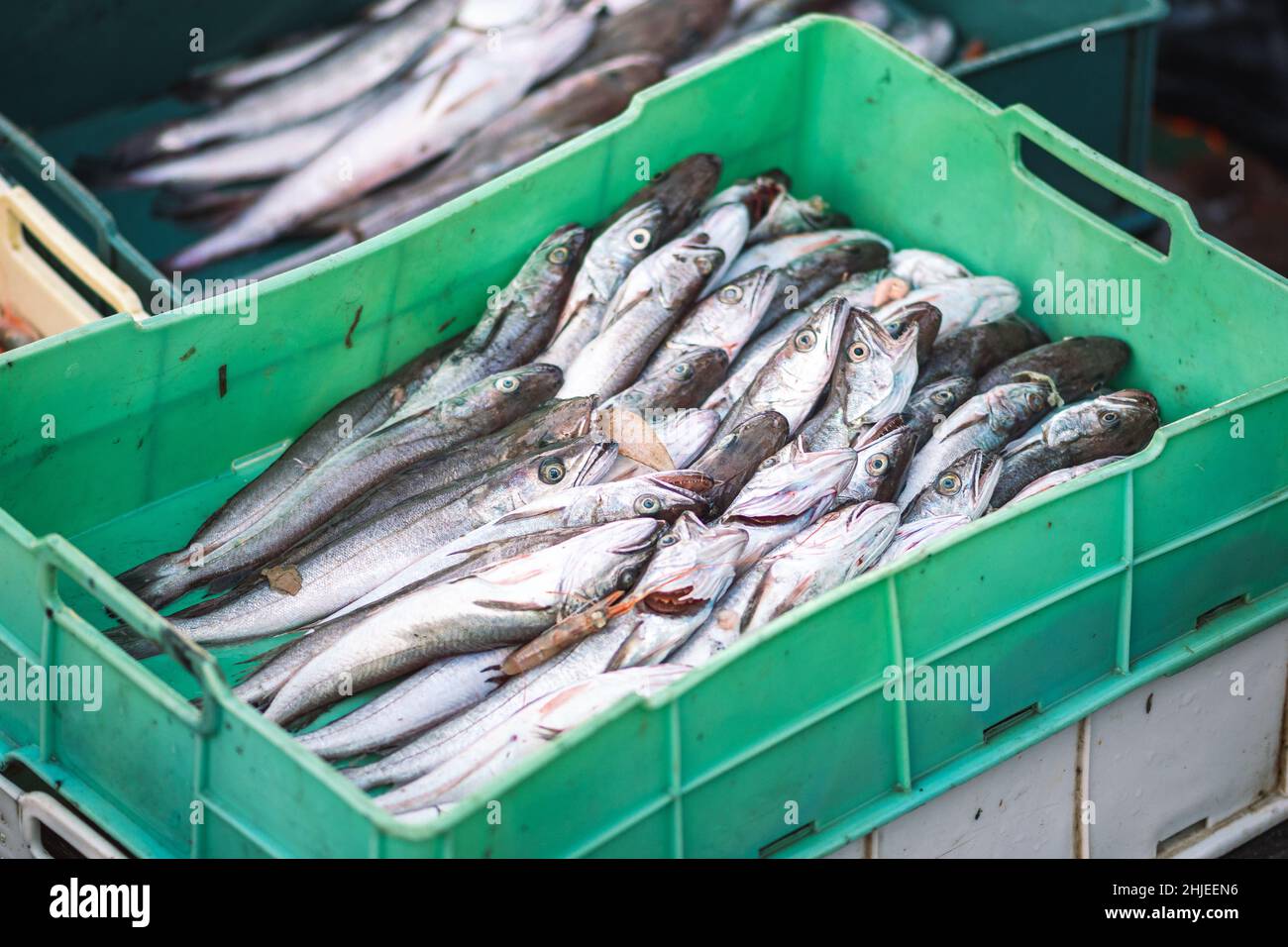 Sold fish hi-res stock photography and images - Alamy