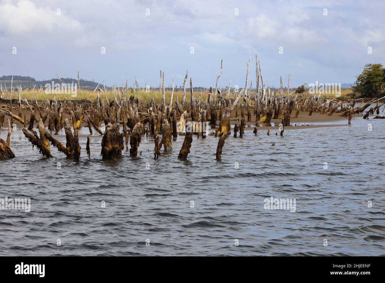 Chepu chile hi-res stock photography and images - Alamy
