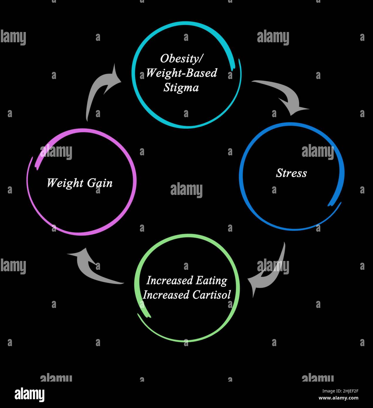 Cycle of Obesity / Weight-Based Stigma Stock Photo - Alamy