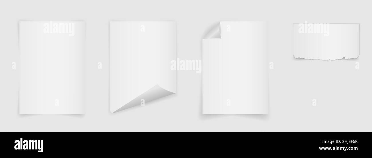 Empty paper template. Realistic A4 mockup with curled corner on ...