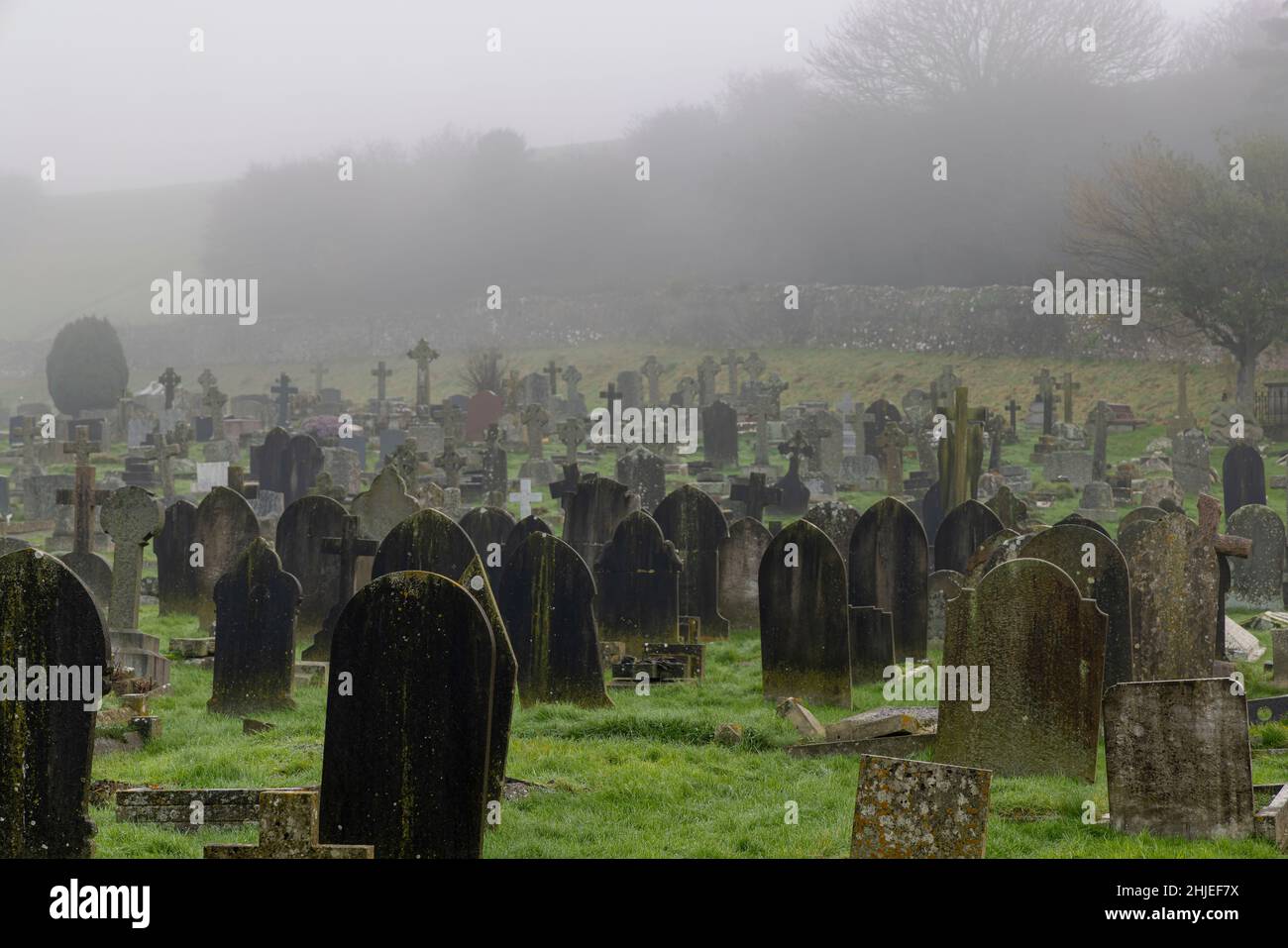 A foggy morning in the grave yard Stock Photo - Alamy