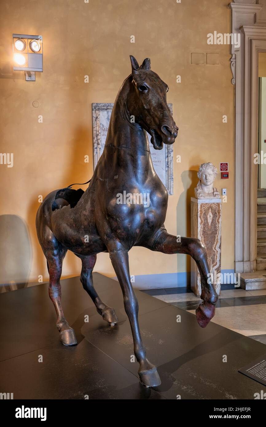 5th century animal hi-res stock photography and images - Alamy