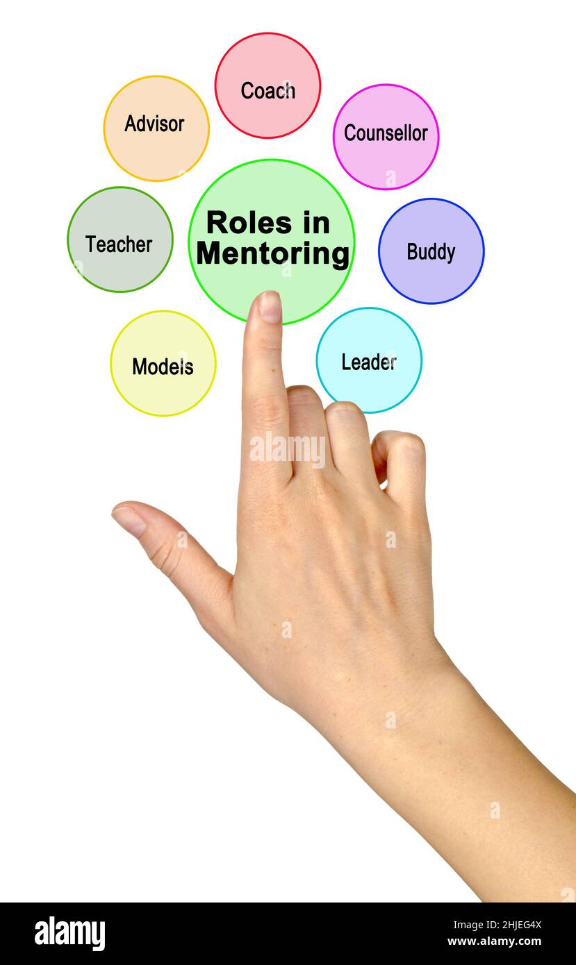 Seven Roles assumed by mentor Stock Photo - Alamy