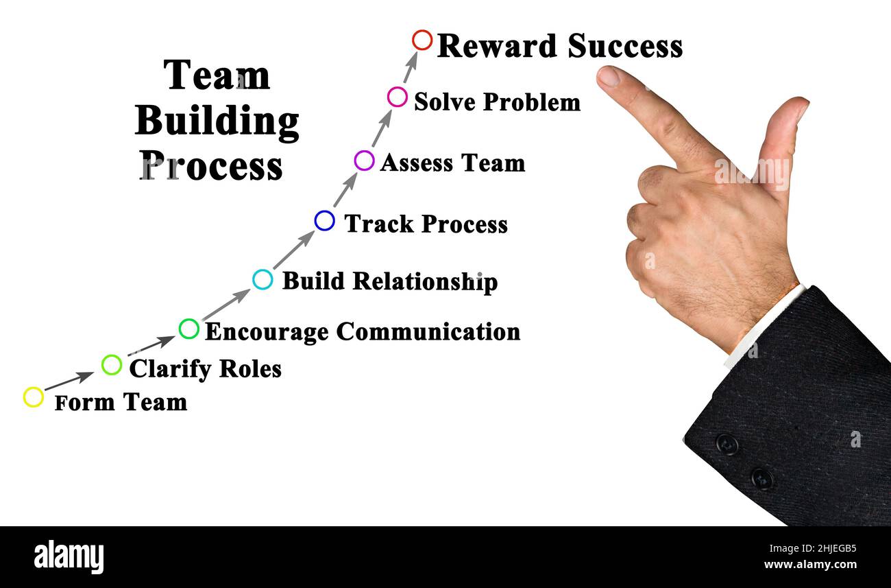 Steps in Team Building Process Stock Photo - Alamy