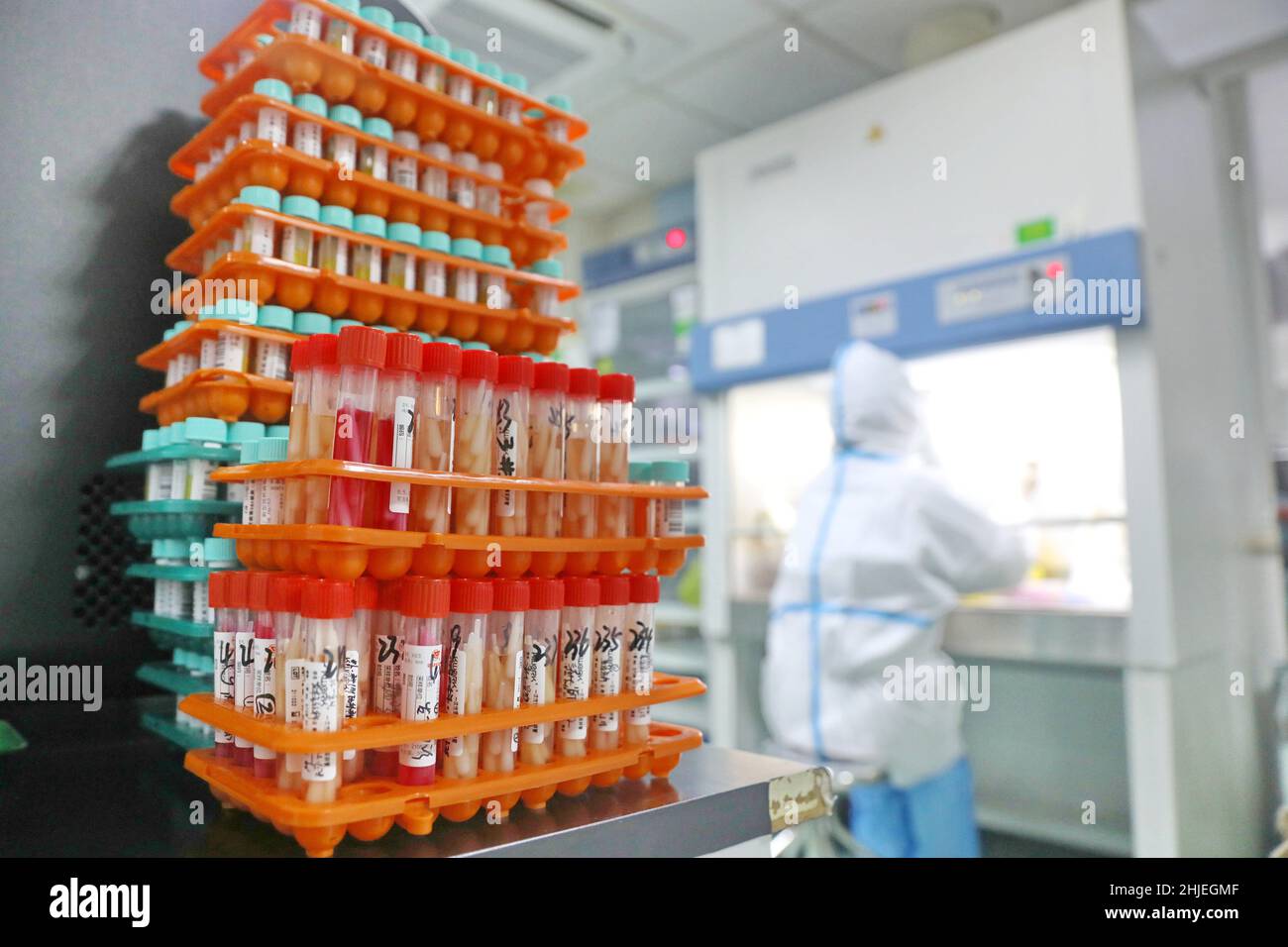 JIAXING, CHINA - JANUARY 28, 2022 - Nucleic acid samples from the gene ...