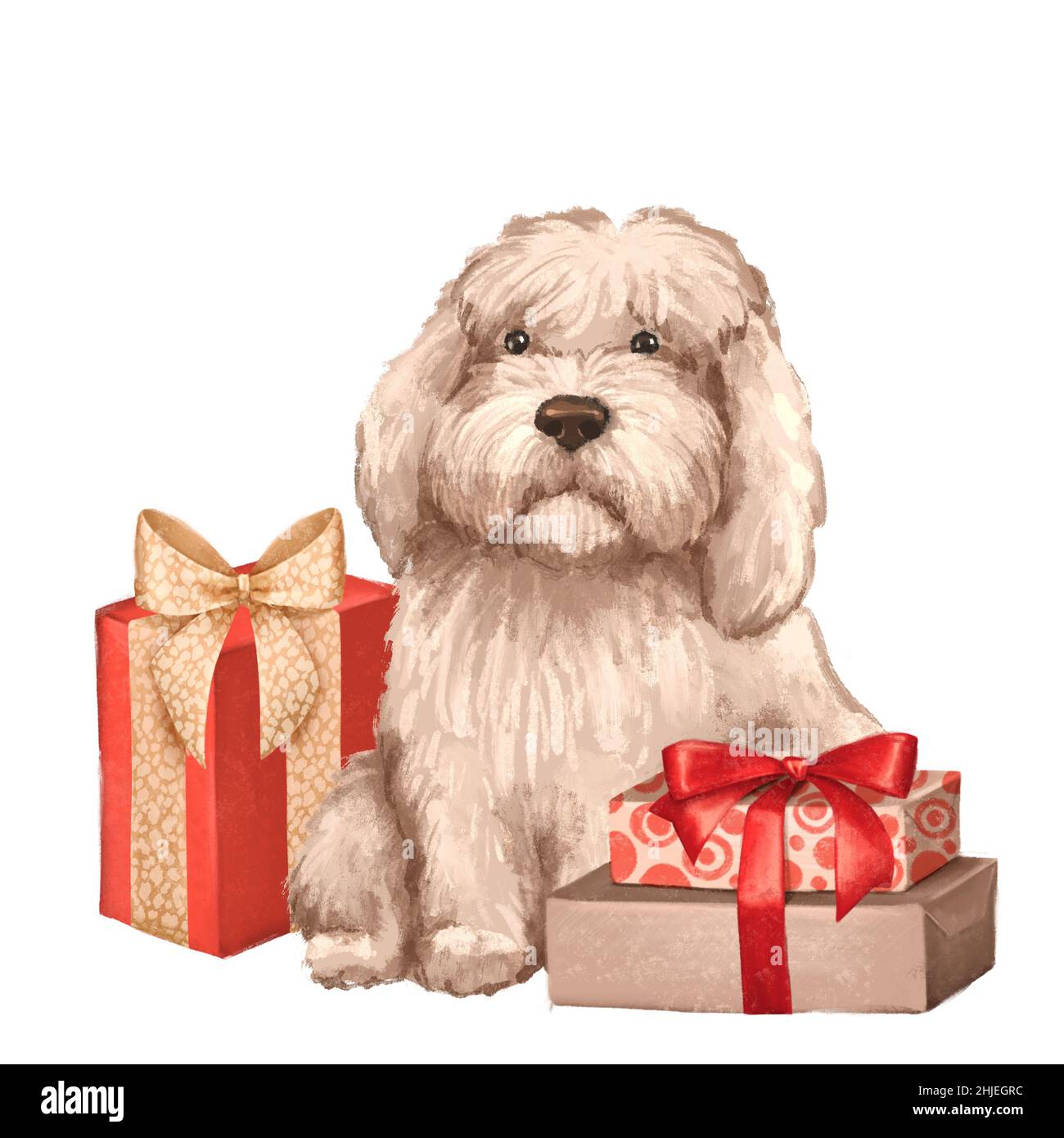 Cute fluffy dog and gift boxes. Illustration on white background Stock ...